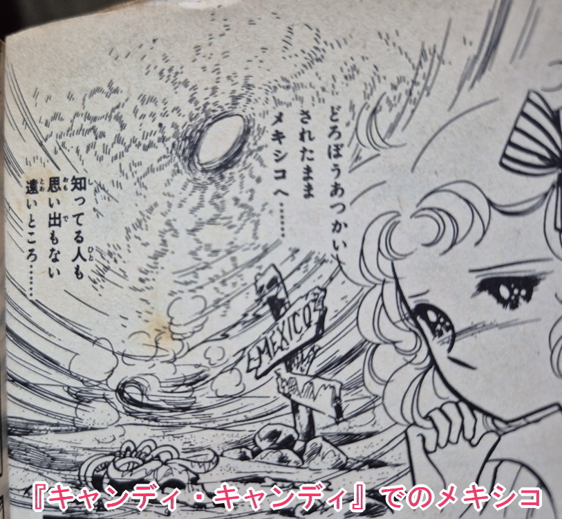 メキシコ産のカボチャを買った: 『キャンディ・キャンディ』研究白書