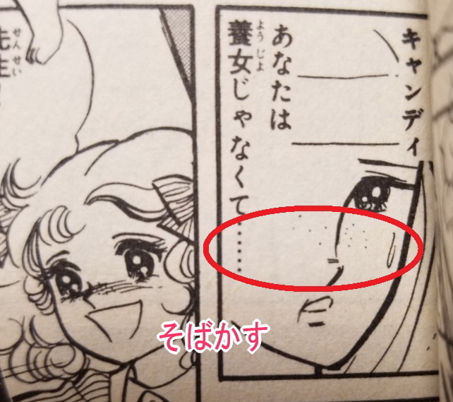 実はレイン先生にもそばかすがある: 『キャンディ・キャンディ』研究白書